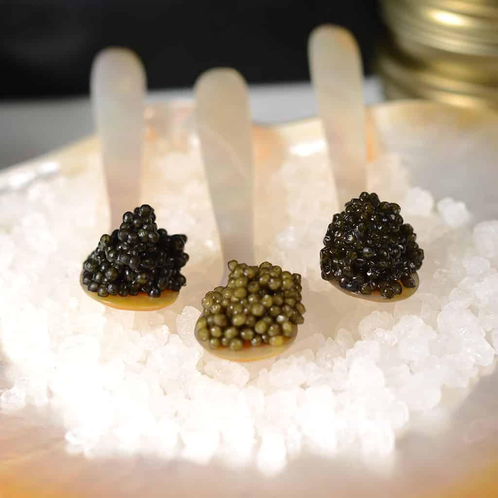 5 Don’ts When Buying, Eating, or Serving Caviar – Sterling Caviar