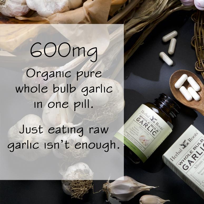 Organic Garlic Supplement - 60 VegCaps - 600 mg - Herbal Roots