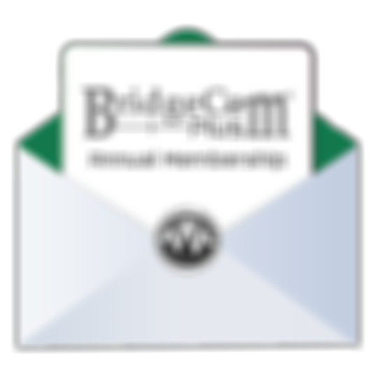 BridgeCom Plus Product Launch Page