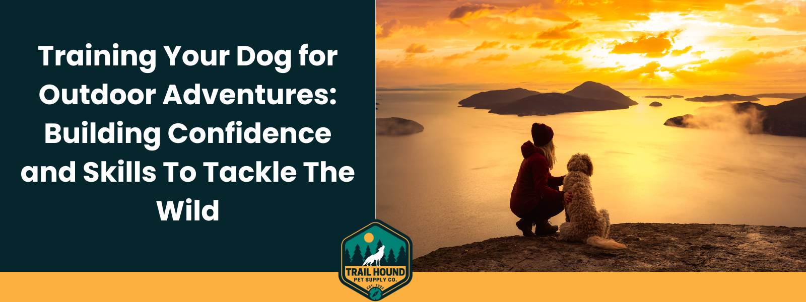 Training Your Dog for Outdoor Adventures: – Trail Hound Supply Co.