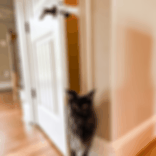 How Door Buddy Cat Door Prop Can Benefit Cat and Dog Owners