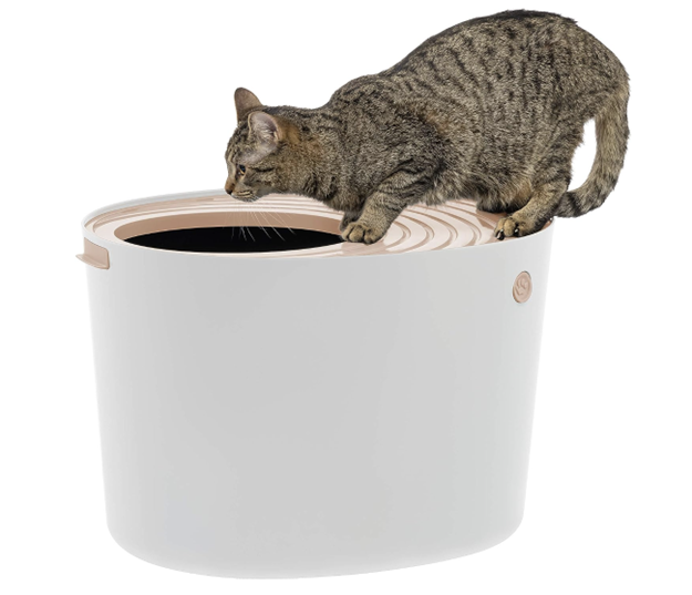 Best Cat Litter Box For Your Home – Door Buddy