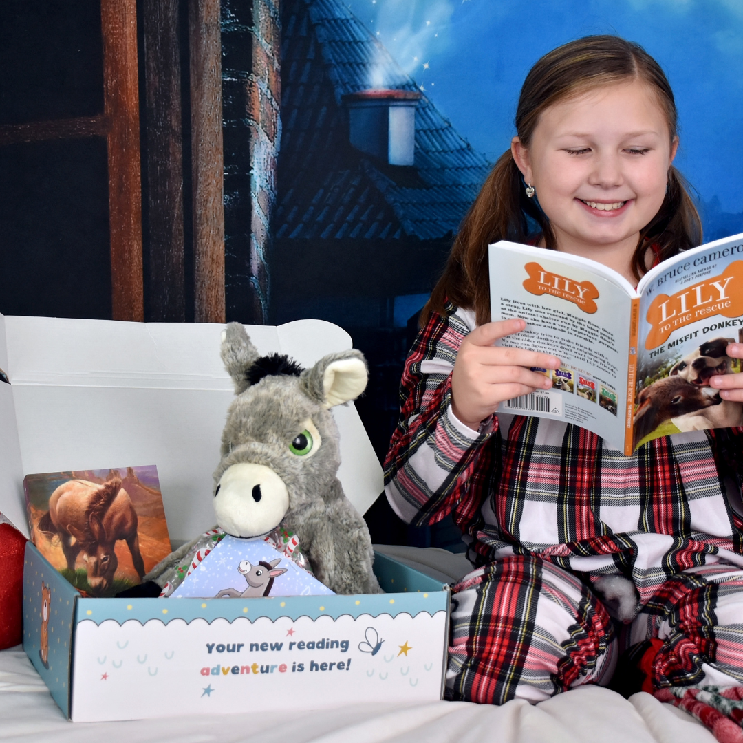 Book and Bear - Animal Book Subscription Box & Stuffy To Hand-Build