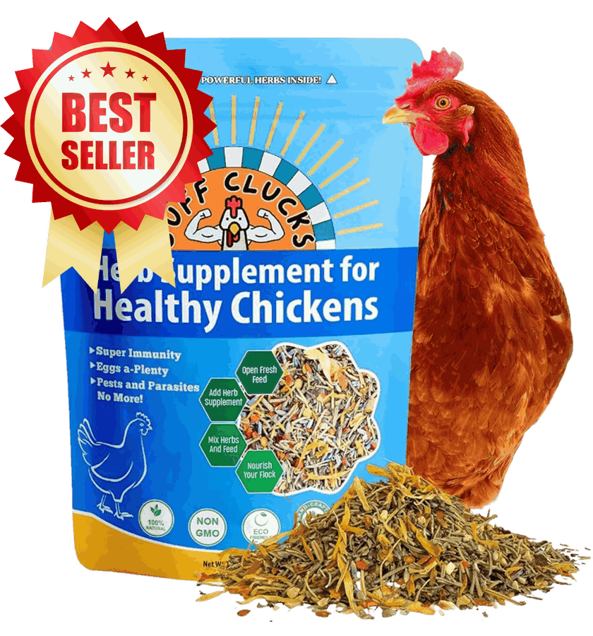 Buff Clucks Wholesale Pricing Catalog