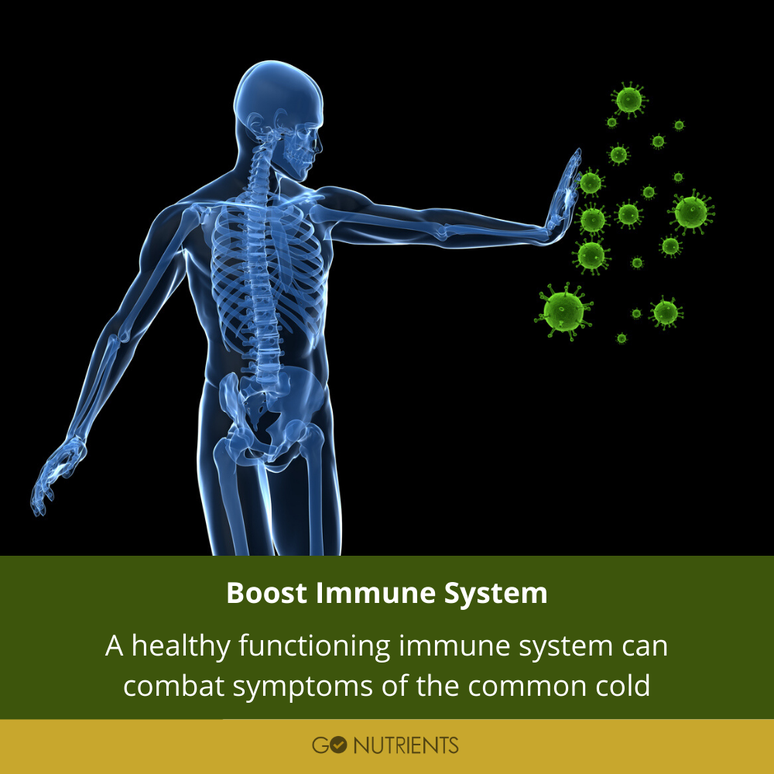 Immune Booster Supplement | All Natural Immune Support | Go Nutrients