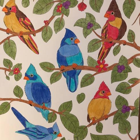 Freebie Friday 05-31-19 Colors of Nature Coloring Page