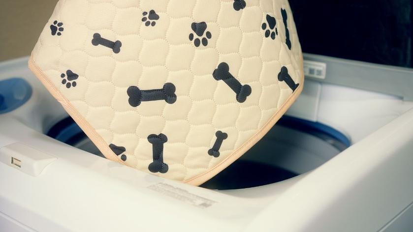 How to Wash Your Reusable Pee Pad - Potty Buddy™
