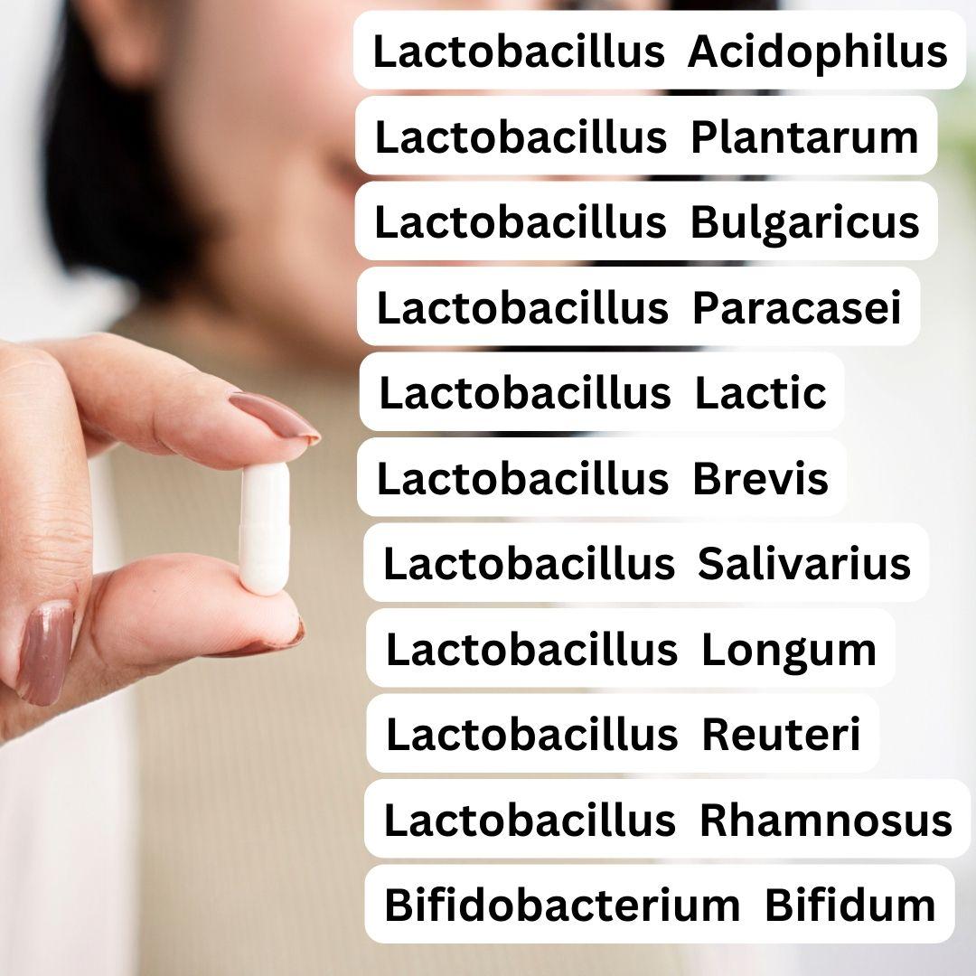 Probiotic Complex from the Martin Clinic