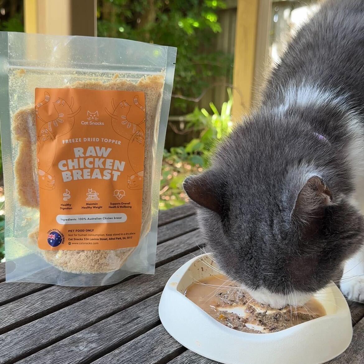 6 Tips for Feeding Fussy Cats – Cat Snacks