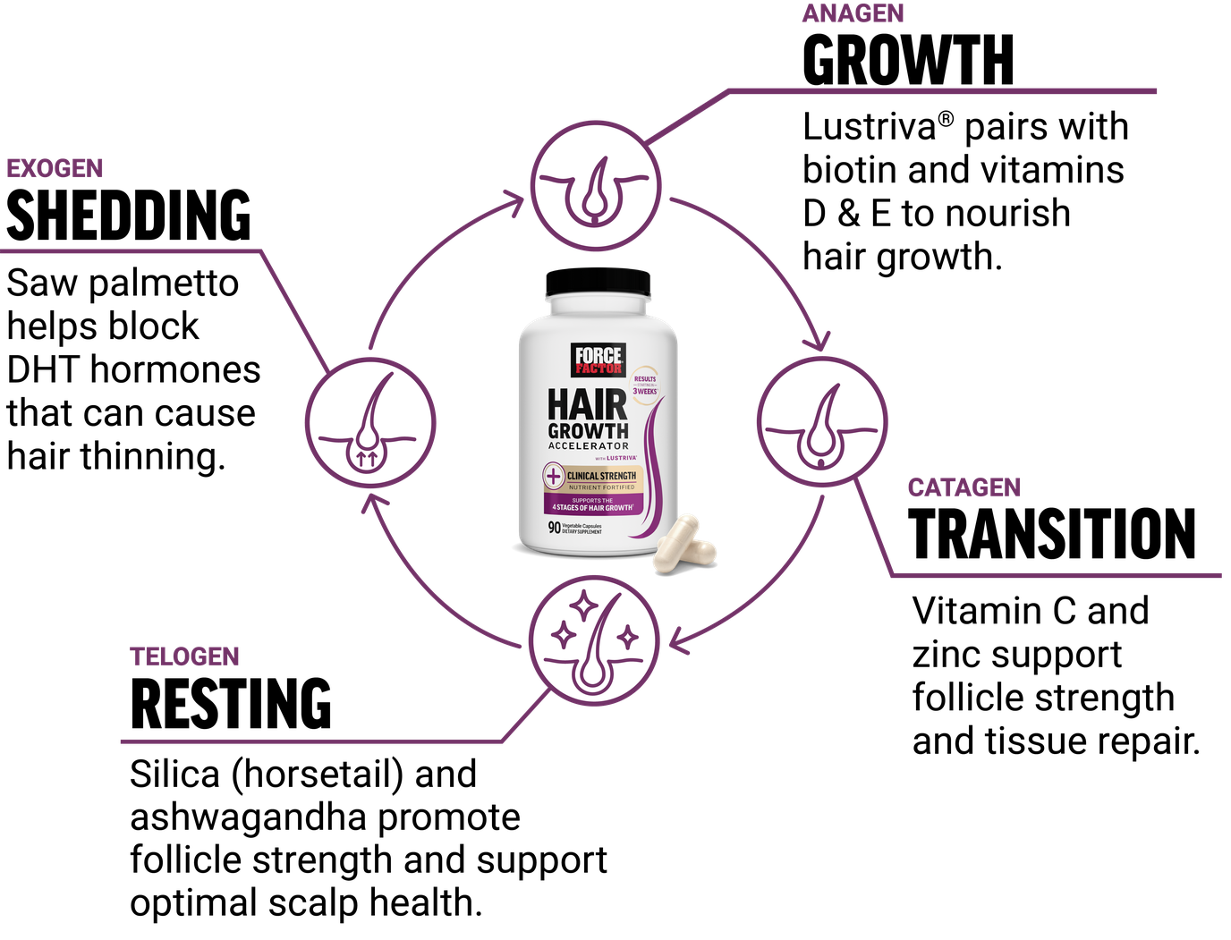 Hair Growth Accelerator