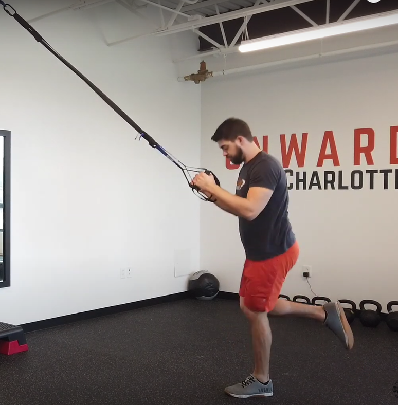 EDGE Suspension Trainer