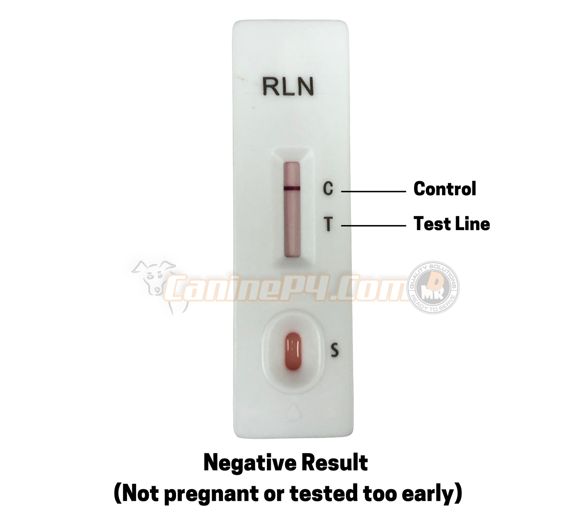 Dog Pregnancy Test | Relaxin