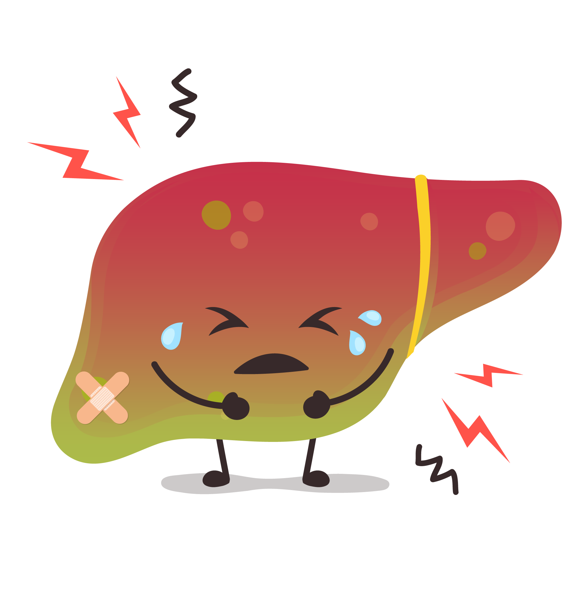 Ayuttva OptimaLIV Story