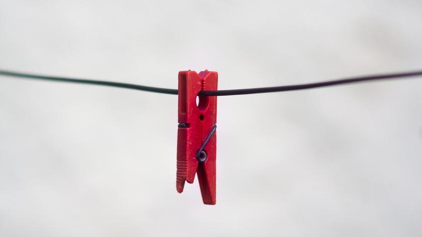 Pegasaurus Stainless Steel Clothes Peg Review – Lifestyle Clotheslines