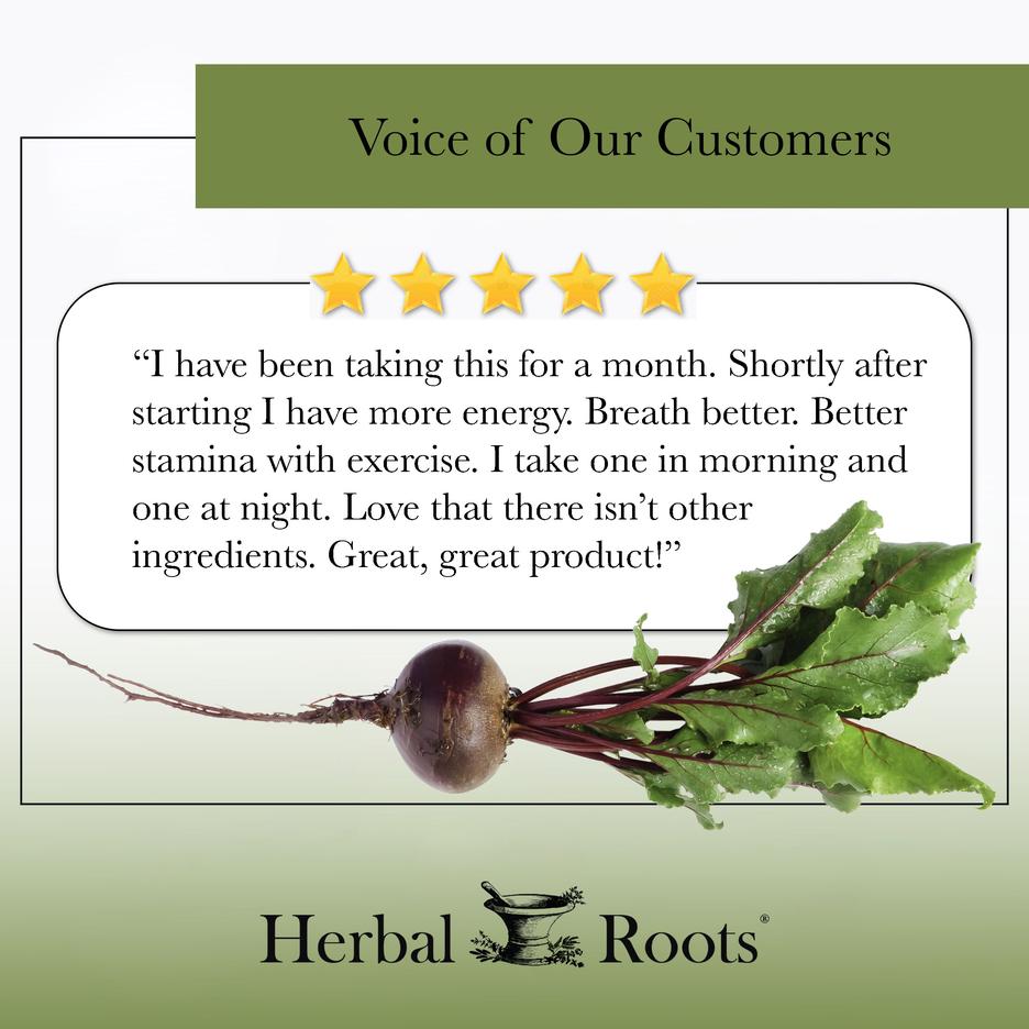 Organic Beet Root Powder - 60 VegCaps – Herbal Roots