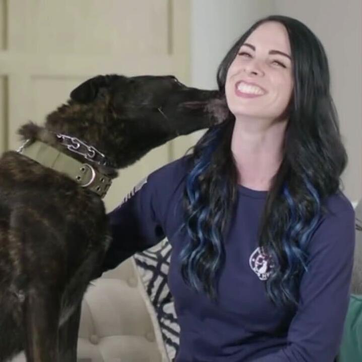 Project K-9 Hero Assistance Programs