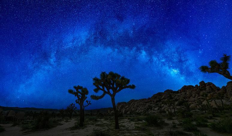 Starry Night Collection: Nature Photography by Aaron Chang