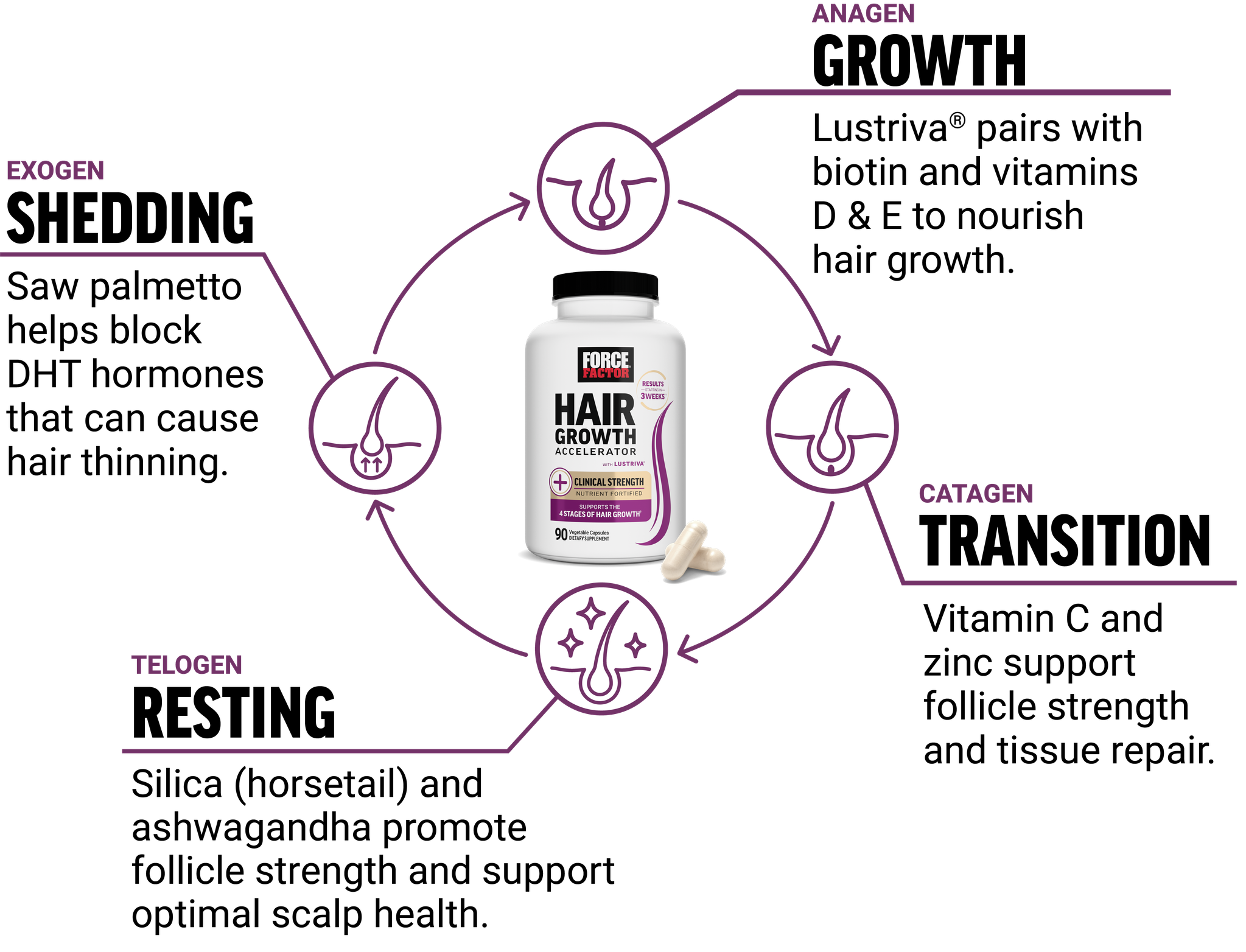 Hair Growth Accelerator