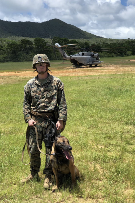 Welcome MWD BBaldur! – Project K-9 Hero