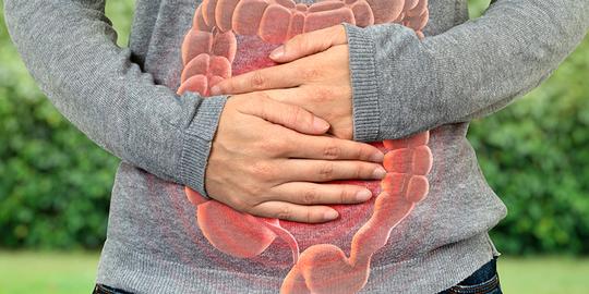 Why a Good Colon is So Important