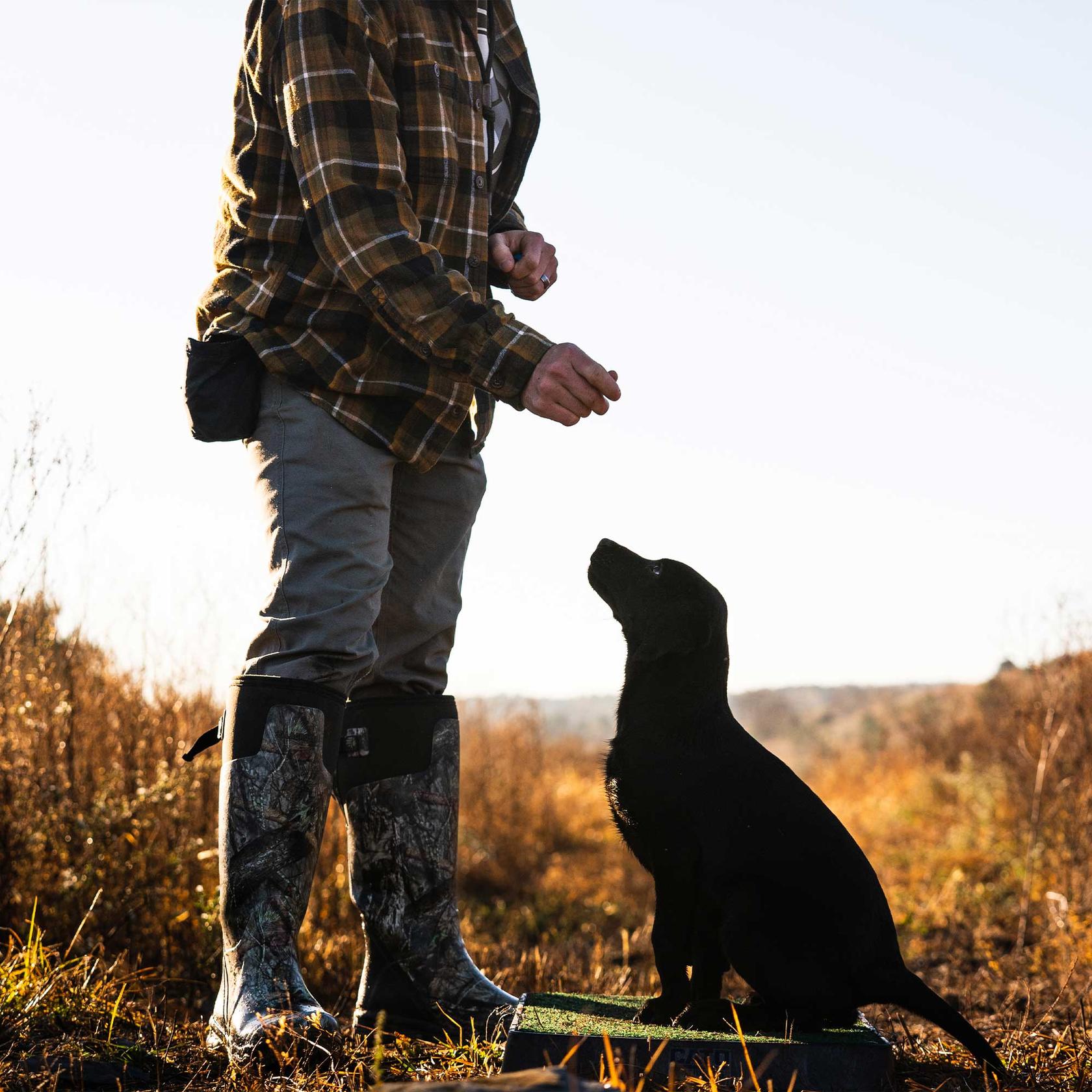 Retriever Training Supply