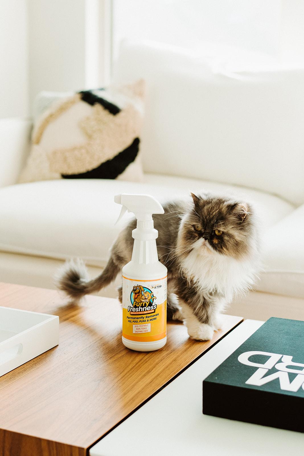 FurryFreshness Vs. Other Stain & Odor Removers - FurryFreshness Premium ...