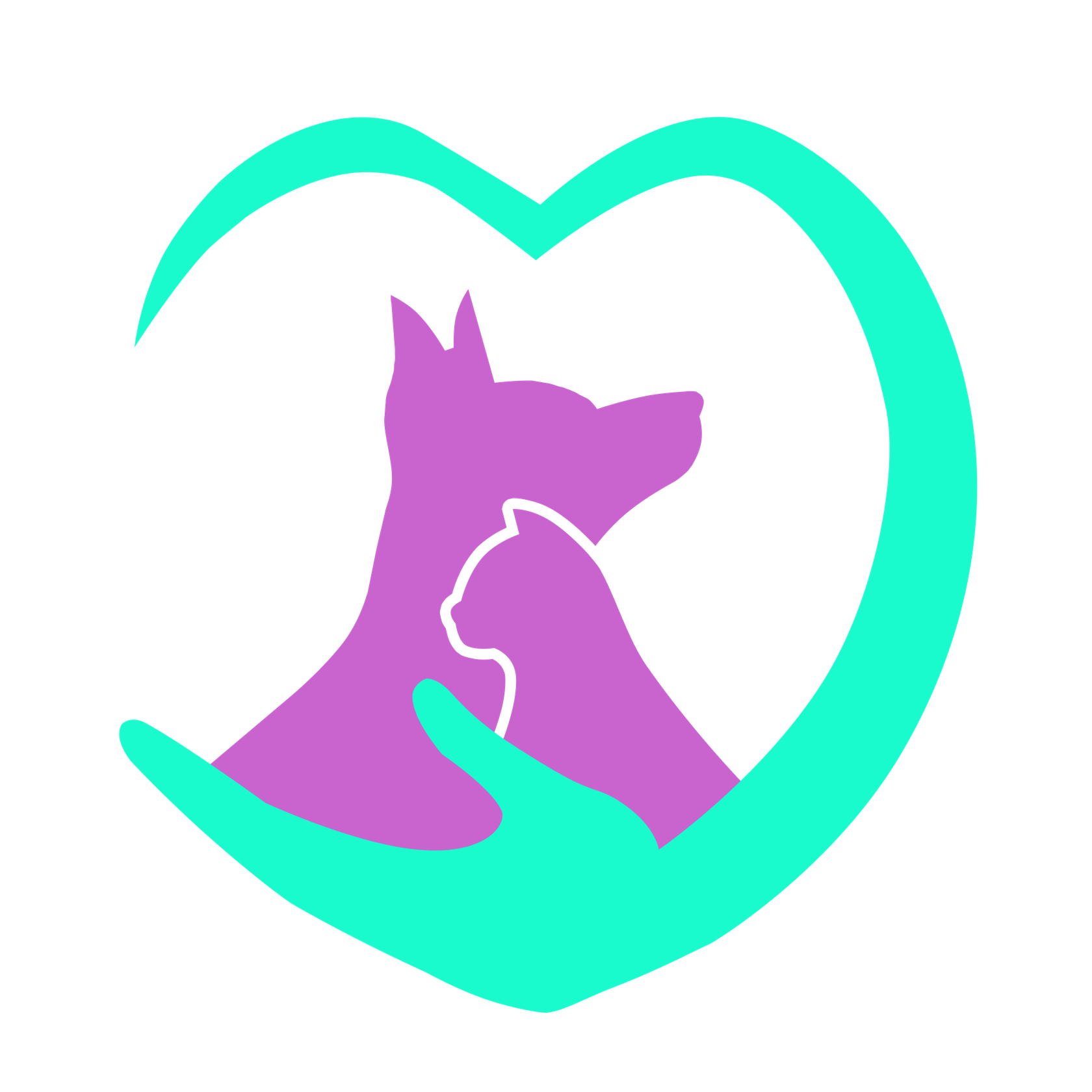 Donations - Cuddle Clones