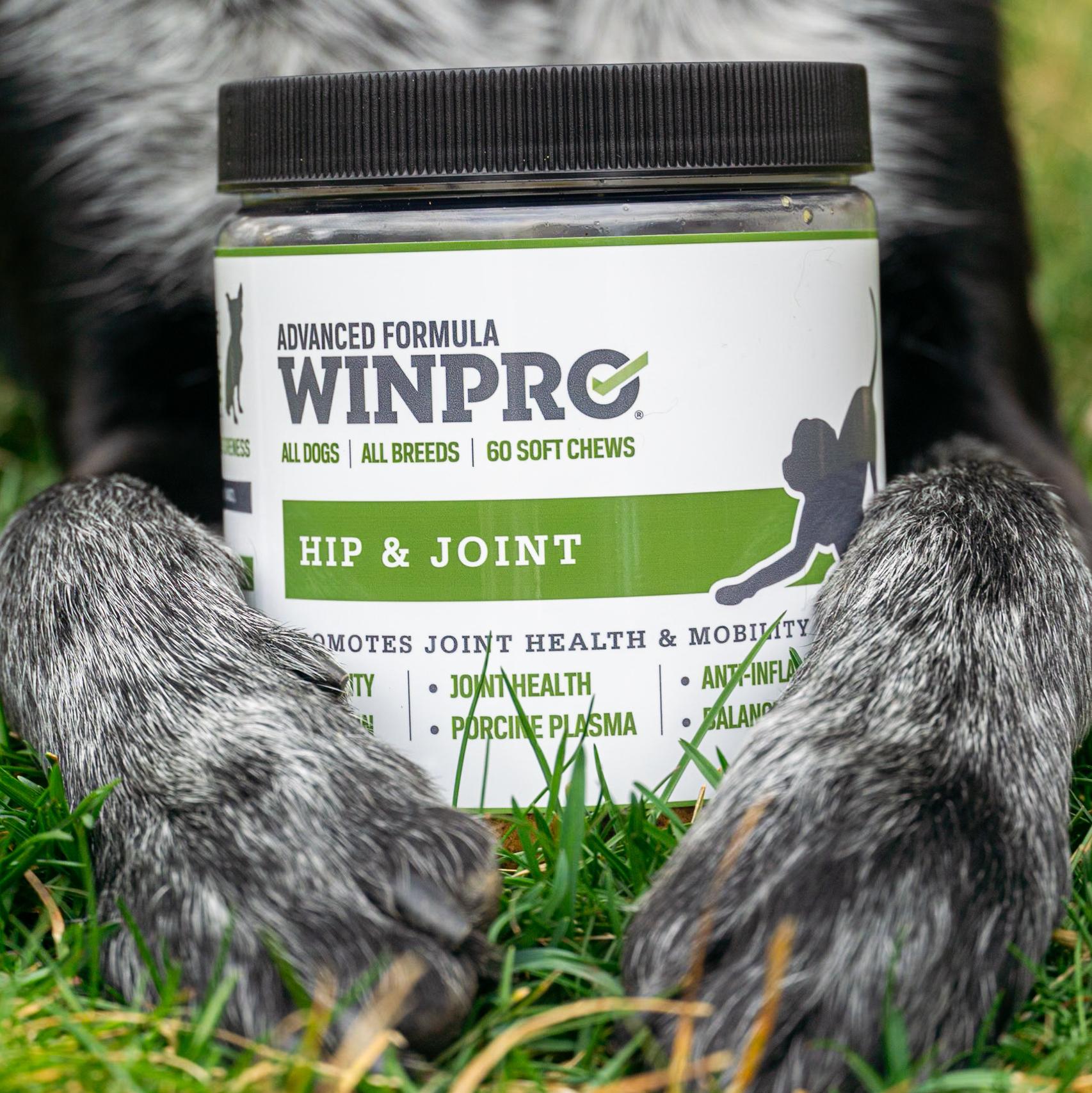 Plasma Powered Hip & Joint Chews for Great Danes