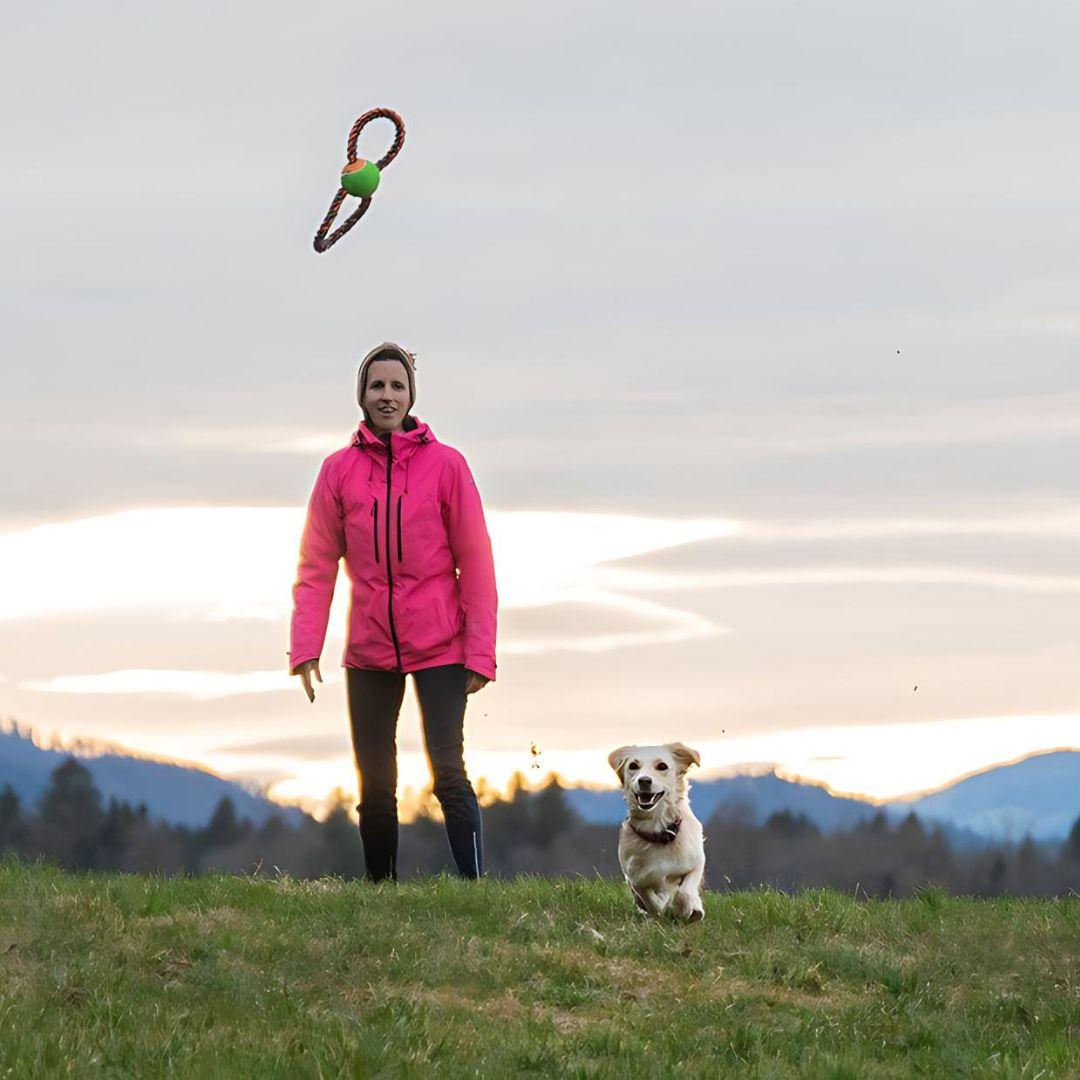 How to Teach Your Dog to Fetch | Potty Buddy - Potty Buddy™