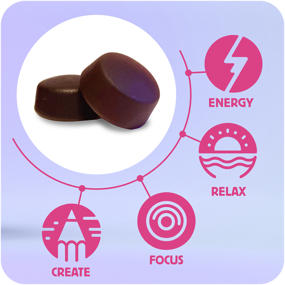 Starshroooms x60 Mushroom Gummies | Blackcurrant | 6 Mushrooms + Ginse – Innooova