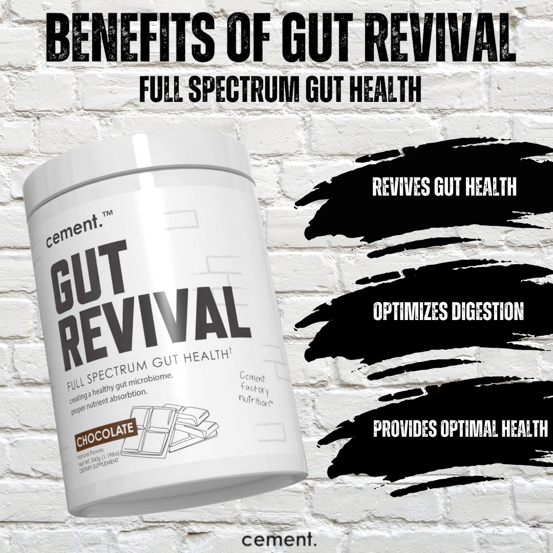 Cement Factory GUT REVIVAL Gut Health Formula