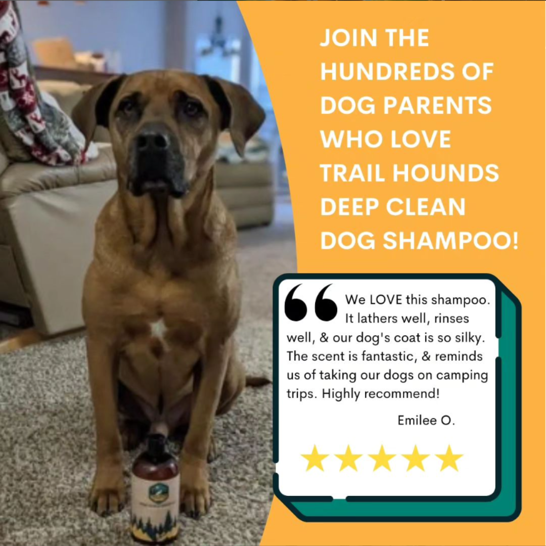 Paws and Preserve: Trail Hound's Dedication to Sustainability and Wild ...