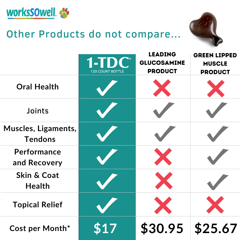 1-TDC Official Joint Supplement of IDS