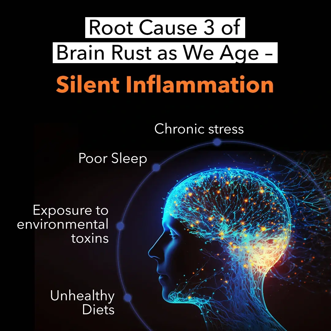 Breakthrough Research Reveals… The Hidden Root Cause of Memory Lapses,