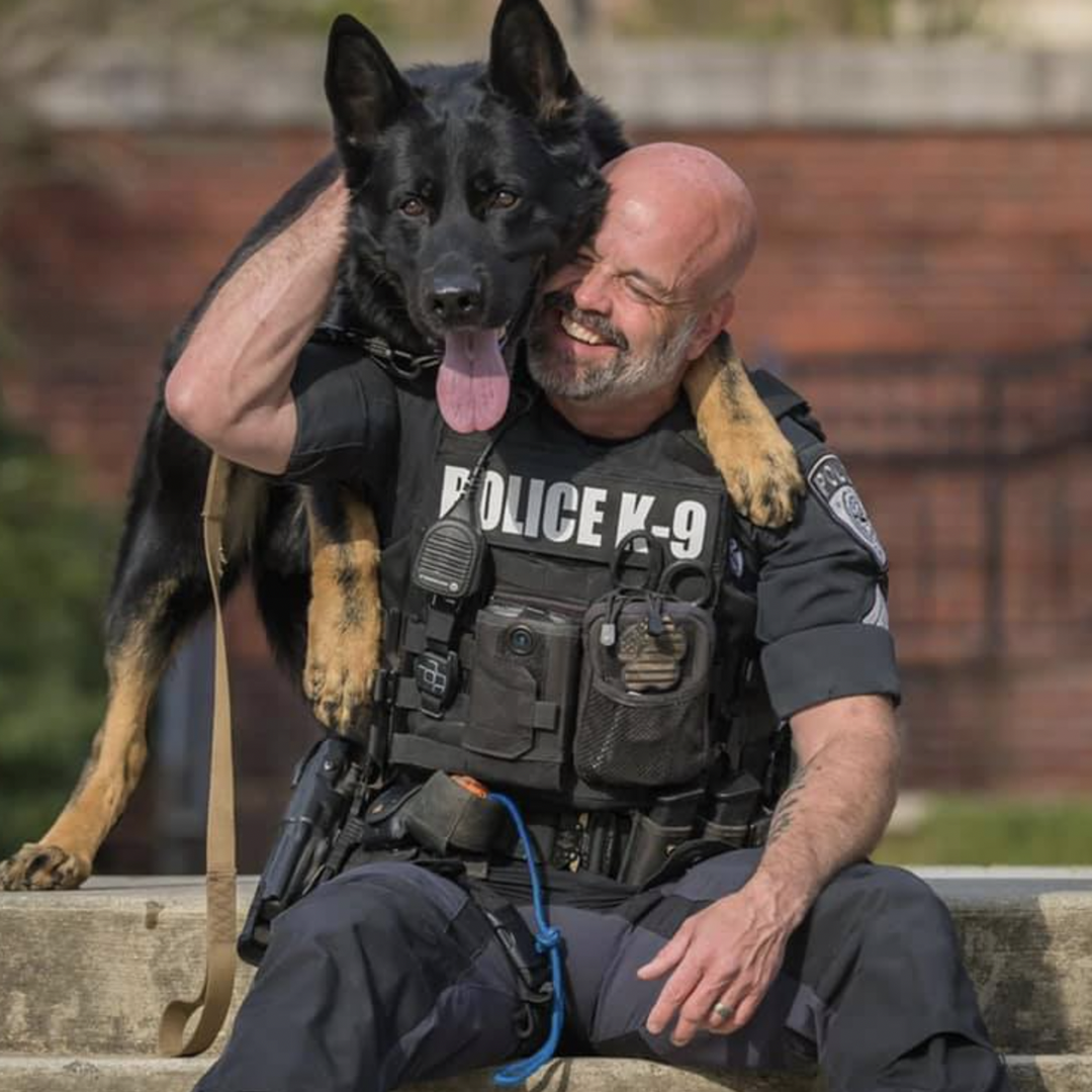 PROJECT K-9 HERO EARNS A FOUR-STAR, 100% RATING FROM CHARITY NAVIGATOR ...