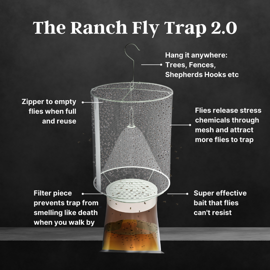 The Ranch Fly Trap – The Ranch Pest Control
