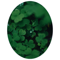 More Hair Naturally 9