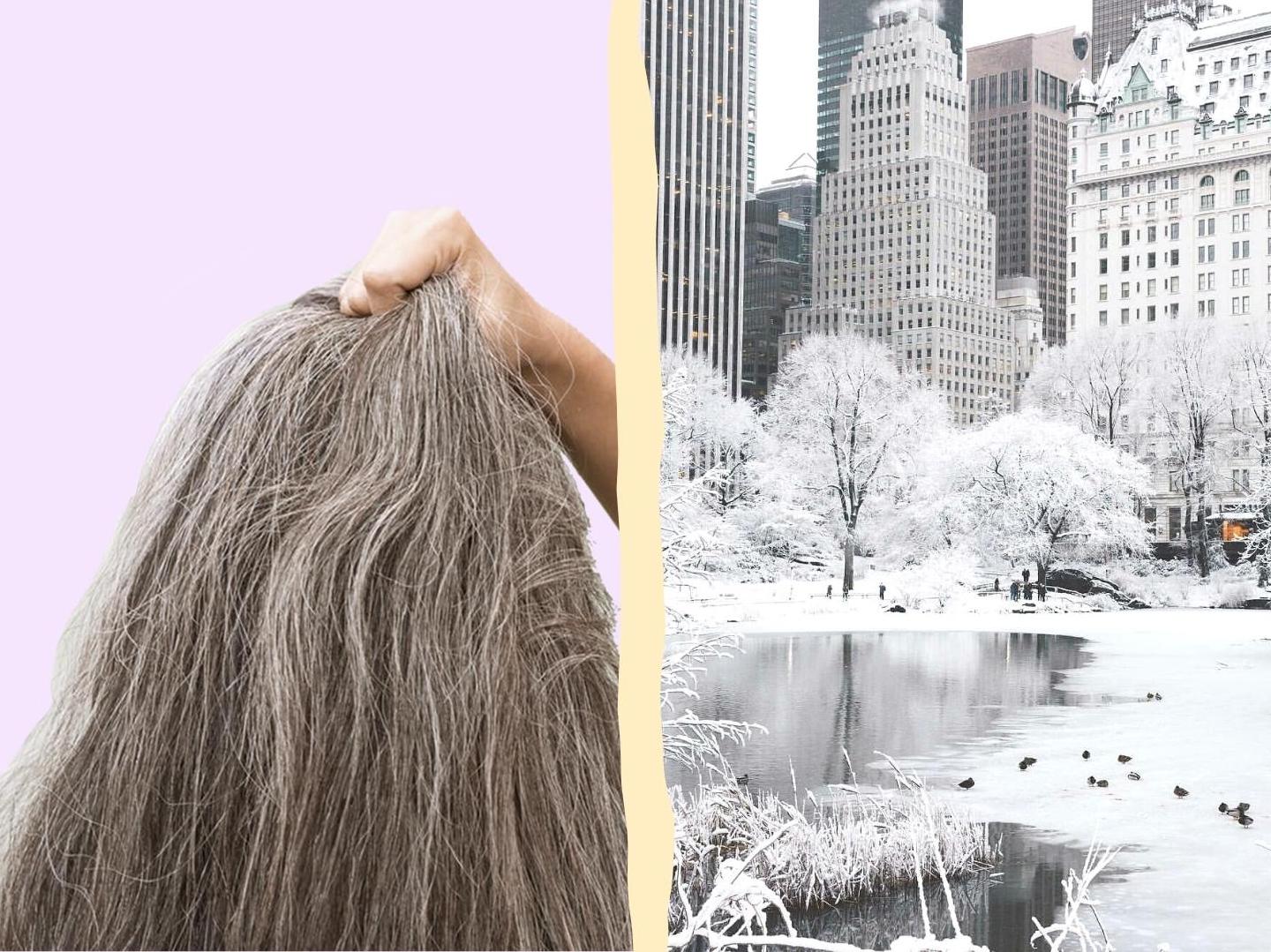 The one berry to solve dry gray hair. – Humby Organics