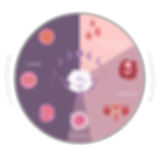 Drop Cycle Method™ Program