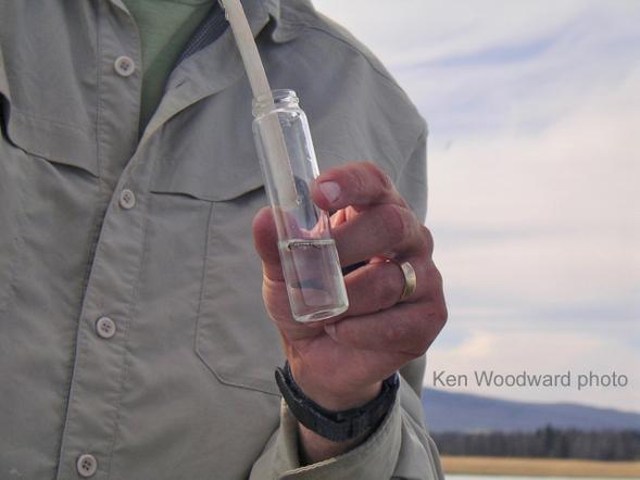 How To Collect Throat Samples – Togens Fly Shop