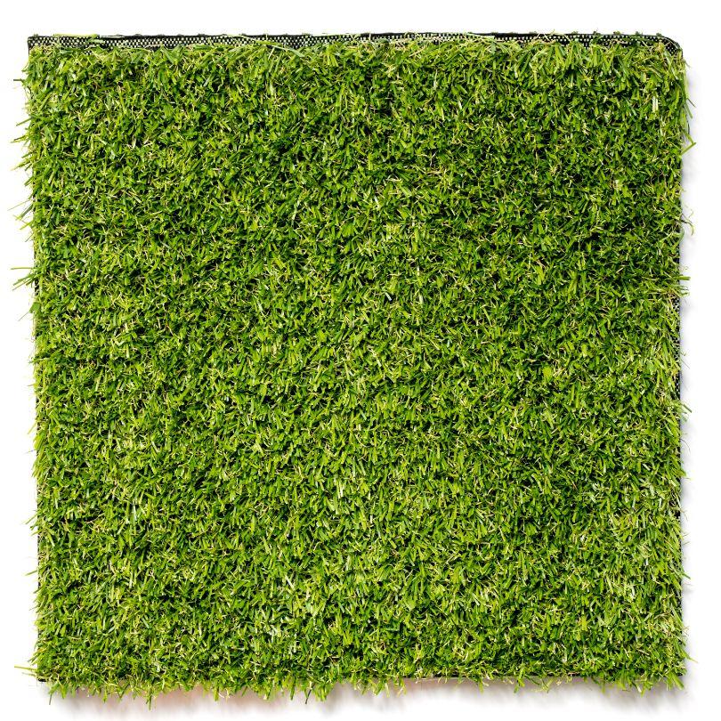 Choosing the Best Potty Pads for Your Dog - The Complete Guide - Potty ...