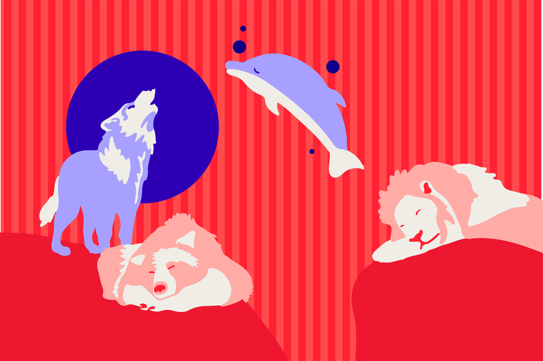 Chronotypes: How Knowing Your Chronotype Leads to Your Best Life ...