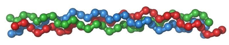The Definitive Guide to Collagen Synthesis: What It Is, Why It Matters