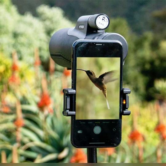 BIRDING