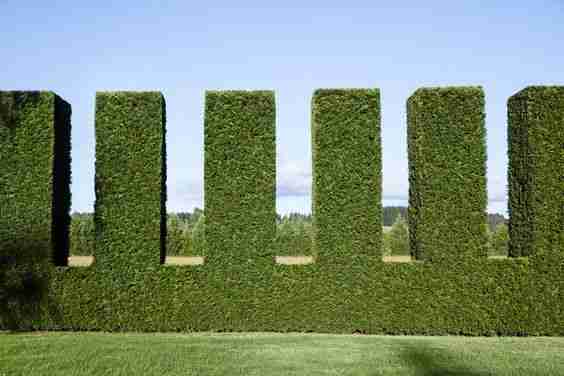 Hedges - Inspiration — Aussie Gardener