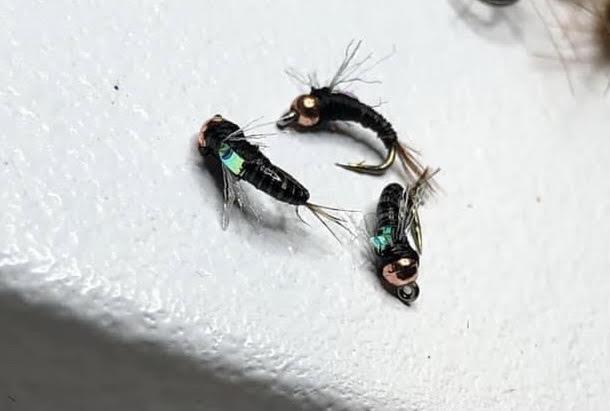 Blue Winged Olives Nymphs – Togens Fly Shop