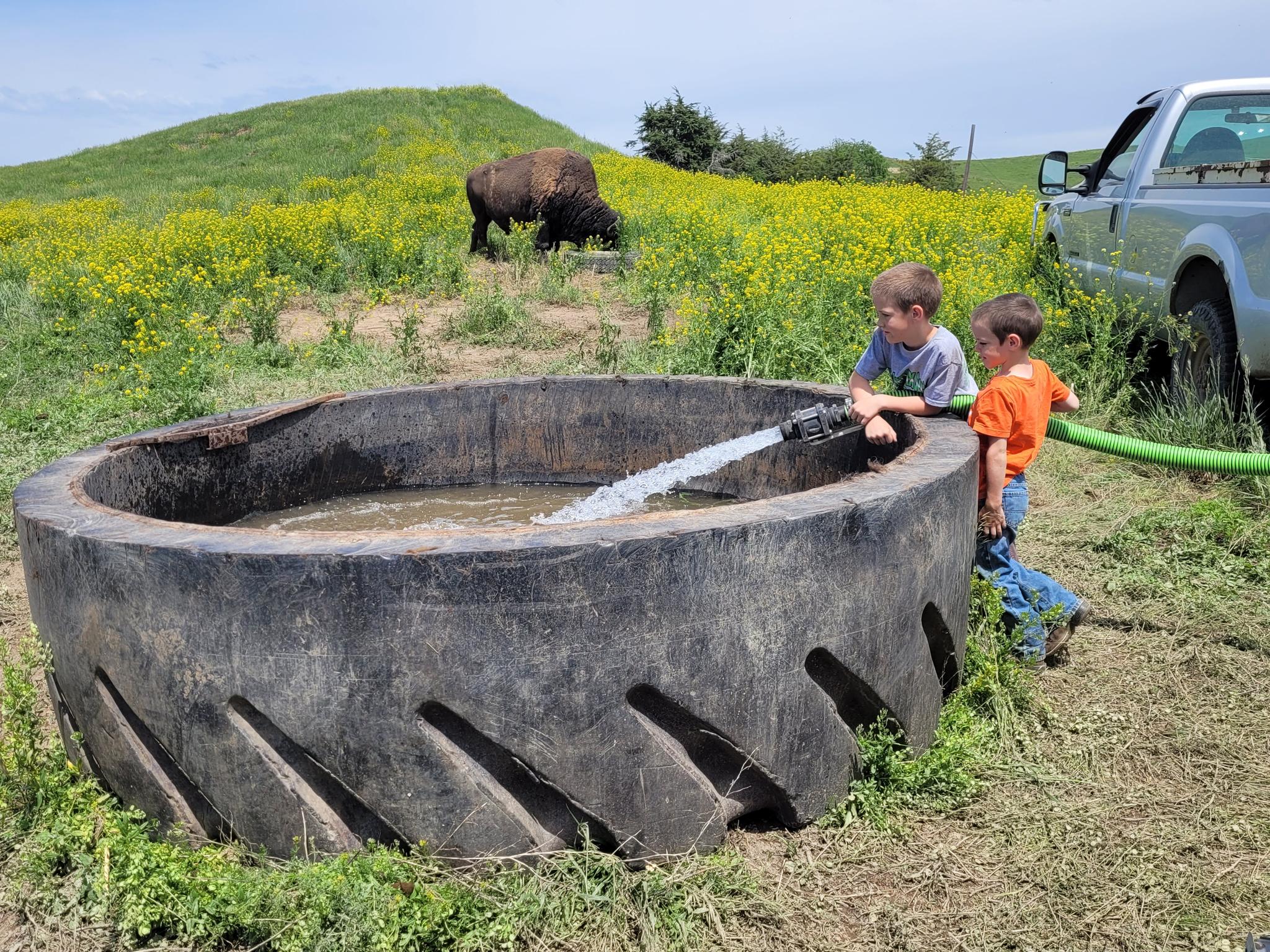 Bulk Beef Cold Conversion Page