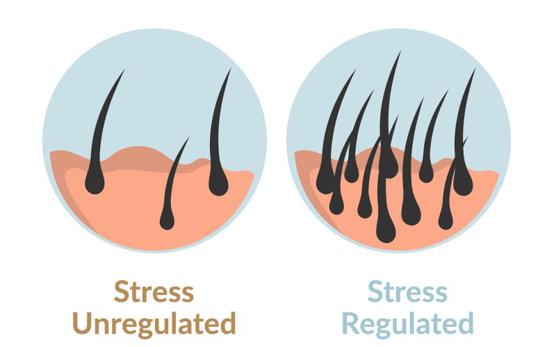 Kerotin Stress-Relief Ashwagandha Hair Growth Vitamins