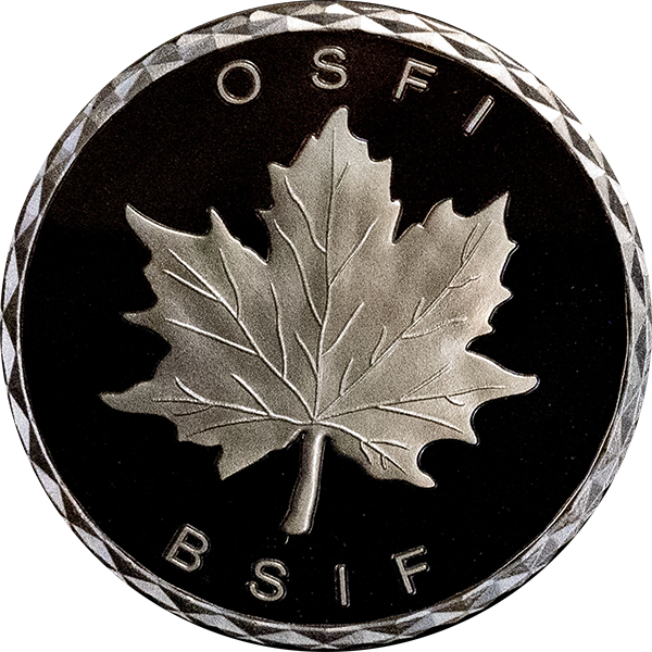 Custom Canadian Challenge Coins - Strike Your Coin