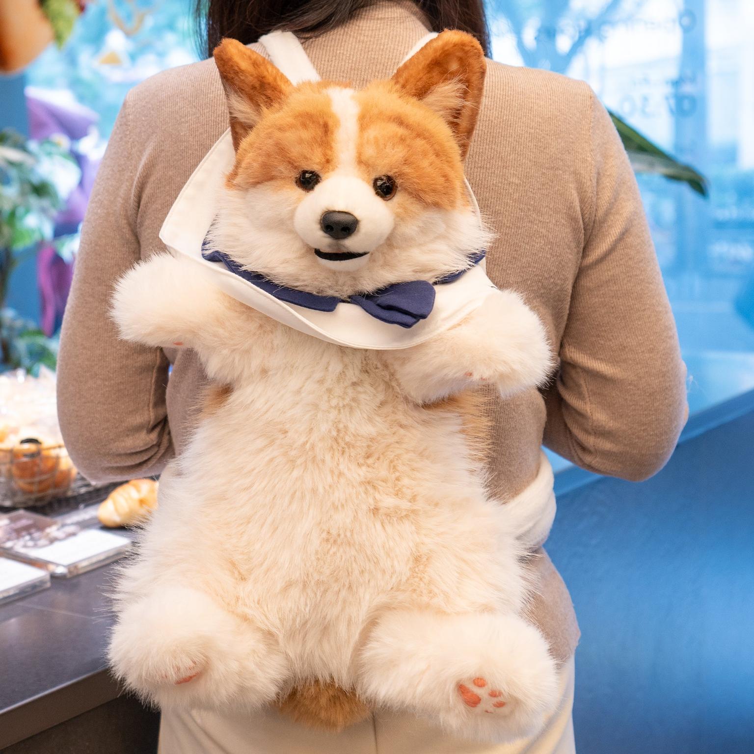 Petslify Corgi Backpack – Irresistibly Plush